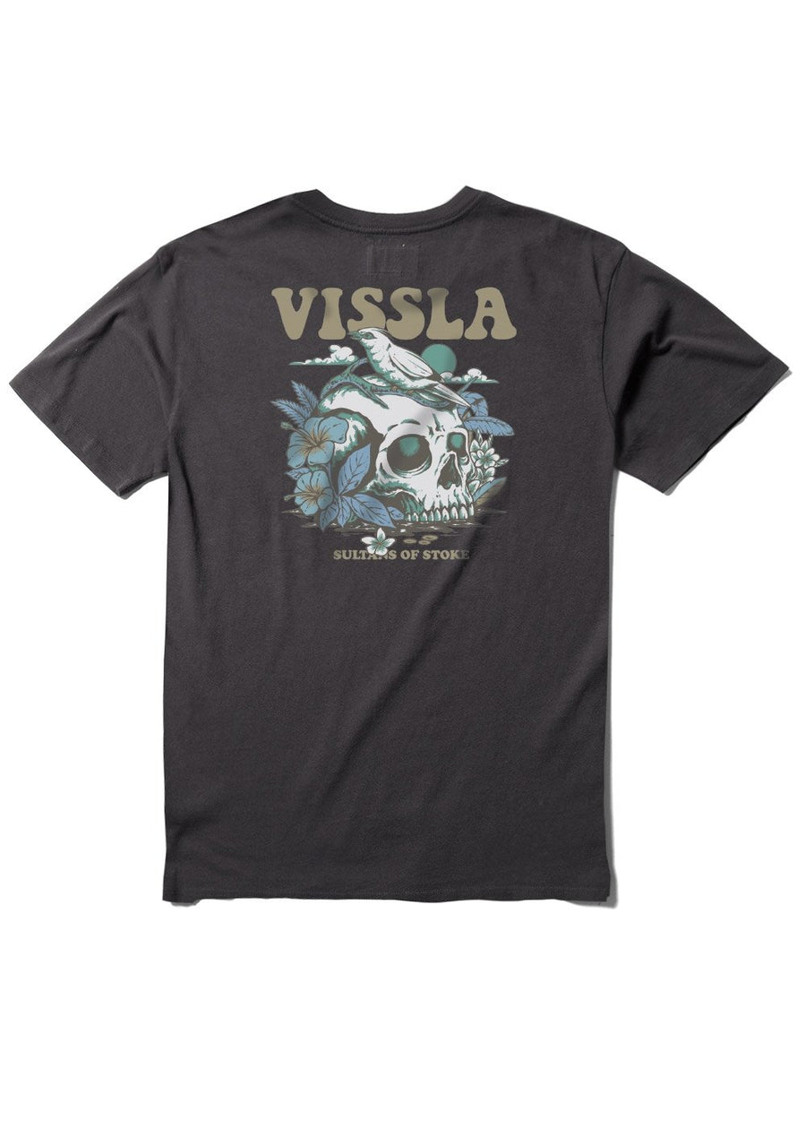 Vissla Mens Tees – Vissla.com